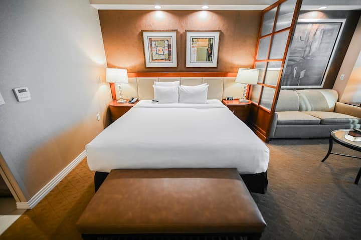 Z42c Signature At Mgm Studio Monthly - 