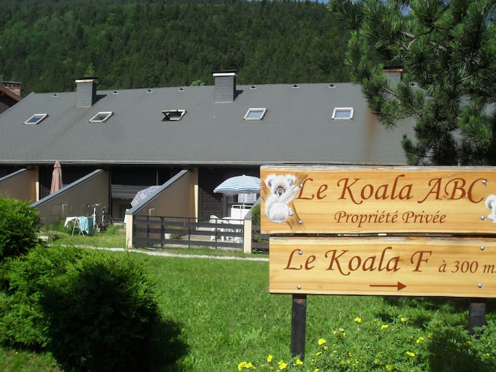 Logement Villard De Lans - Villard-de-Lans
