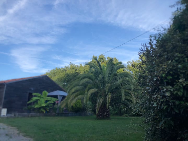 La Chainade - Île d'Oléron