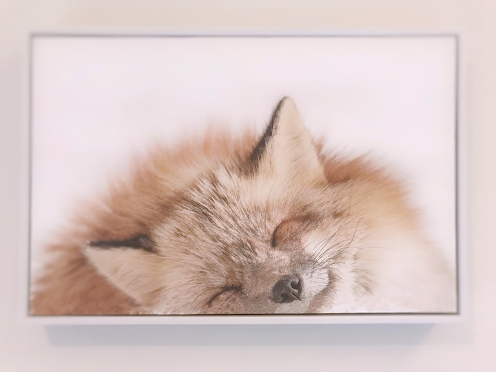 Tiny Mighty Studio In Canmore - Canmore