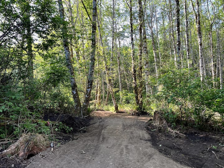 Wandering Woodlands Campsite 6 - Forks, WA