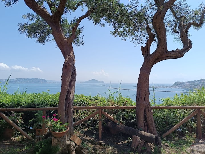 La Casa Blu - Procida
