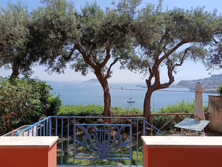 La Casa Blu - Procida