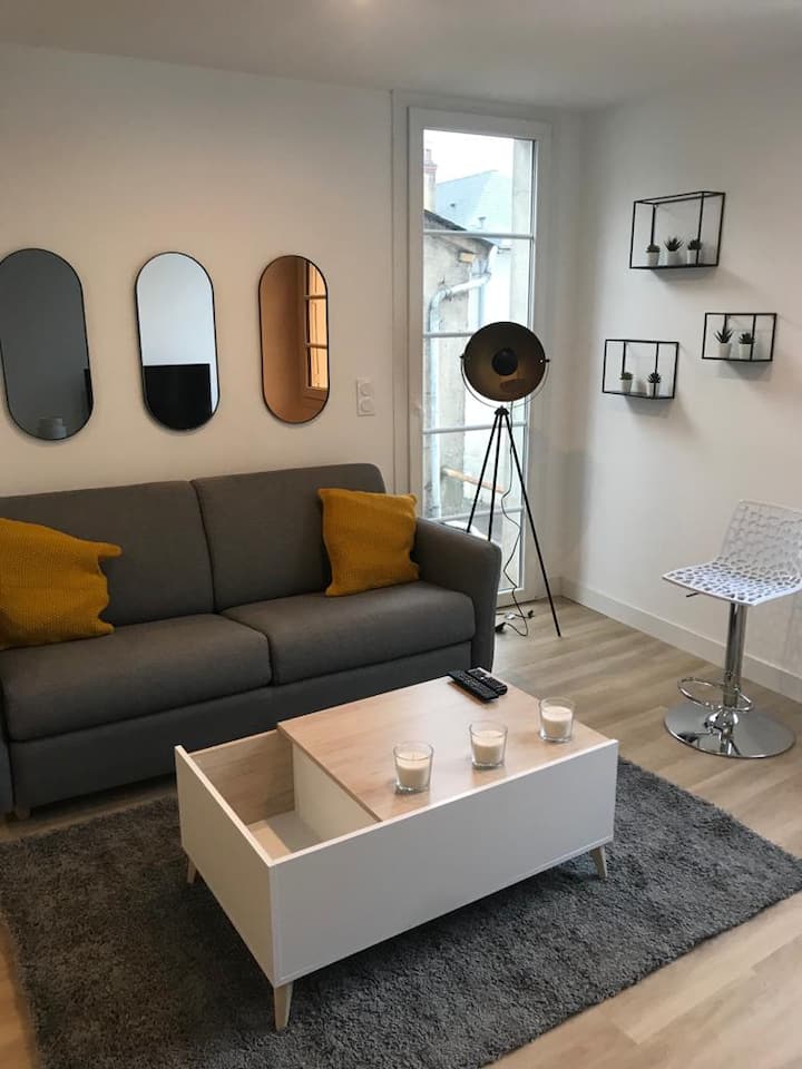 Bel Appartement 6p Tours Centre - Tours