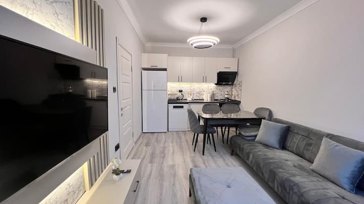 ŞIşli'de Müstakil Lüks Dubleks Bahçeli 4+2 Villa - Ulus