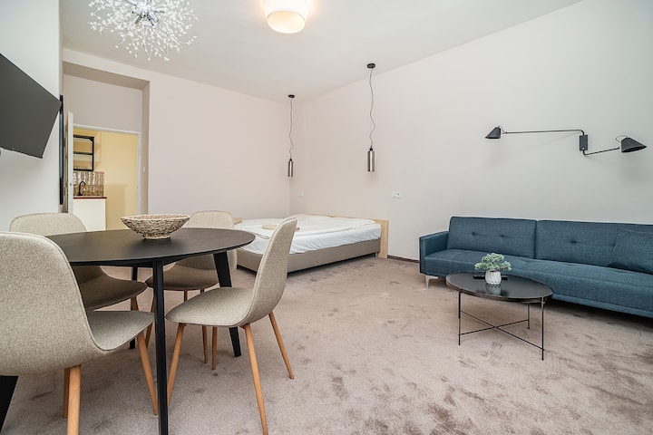 Modern Flat In Zizkov (404) - Prague