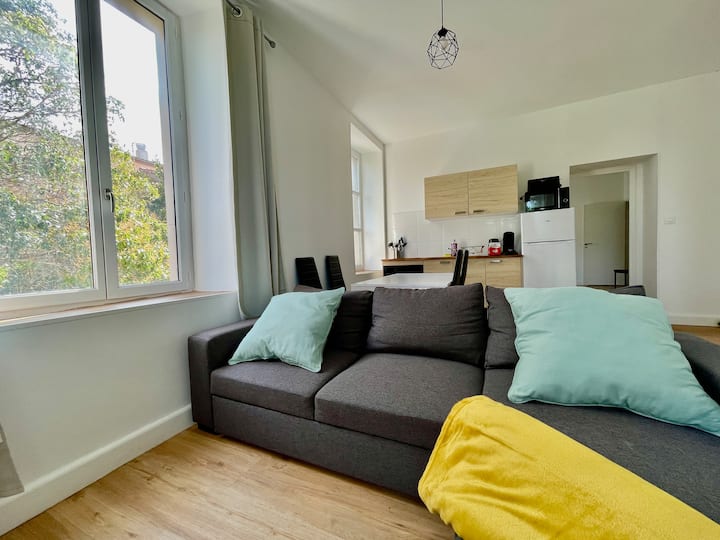 L'appt D'arthur3 - Pont-neuf - Vue Cité Médiévale - Carcassonne