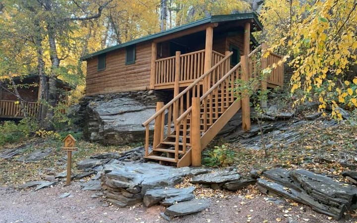 Cabin #2: Black Bear Den - Hill City, SD
