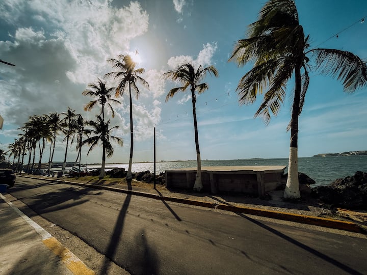 Brand New Simple Apt - Levittown