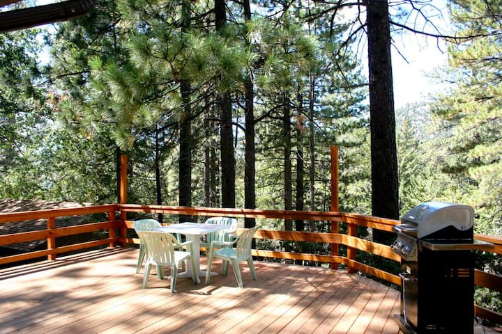 Moutain View Cabin, Idyllwild - Idyllwild-Pine Cove, CA