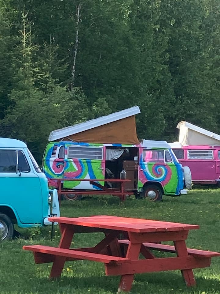 Camping In The Woods The “Tie Dye Express “ - Golden