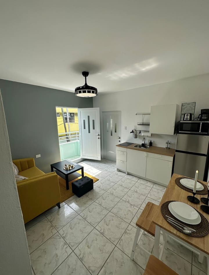 Calle Loiza Apartment - San Juan