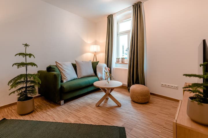 Ferienapartment Regensburg - Regensburg