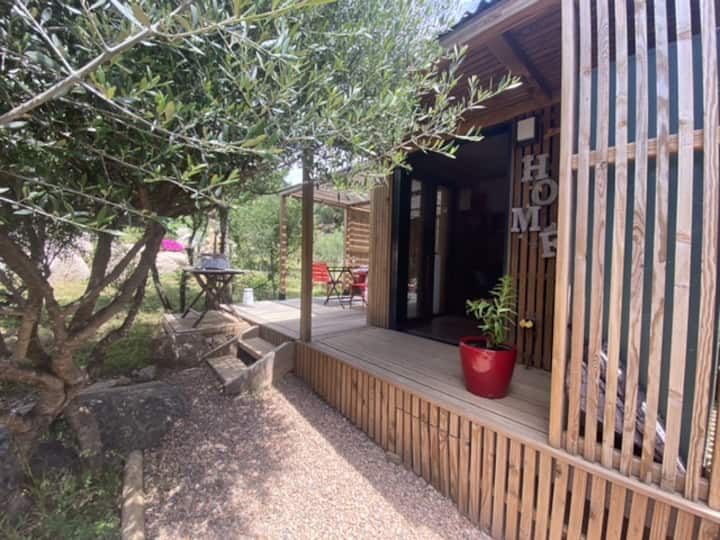 Greenkub à Monacia D'aullene - Pianottoli-Caldarello