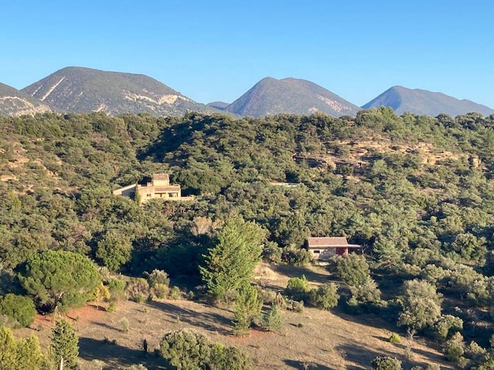 Grande Maison En Provence / Mas De Bois Vieux - Drôme