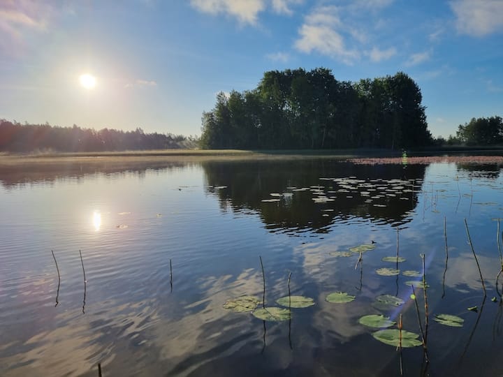 Authentic Cabin With Sauna On The Island - Orivesi