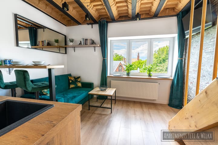 Apartamenty Yeti & Wilka: Wilk - Katowice