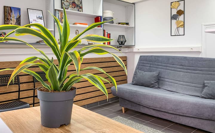 Cosy Logement Entier Hyper Centre-ville. - Quimper