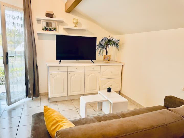 L'annexe City 3* - 1 à 4 Pers. Parking - Wifi - Thonon-les-Bains