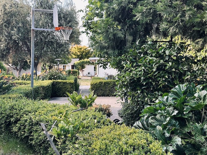 Petals & Peace: Garden Studio - San Leandro, CA