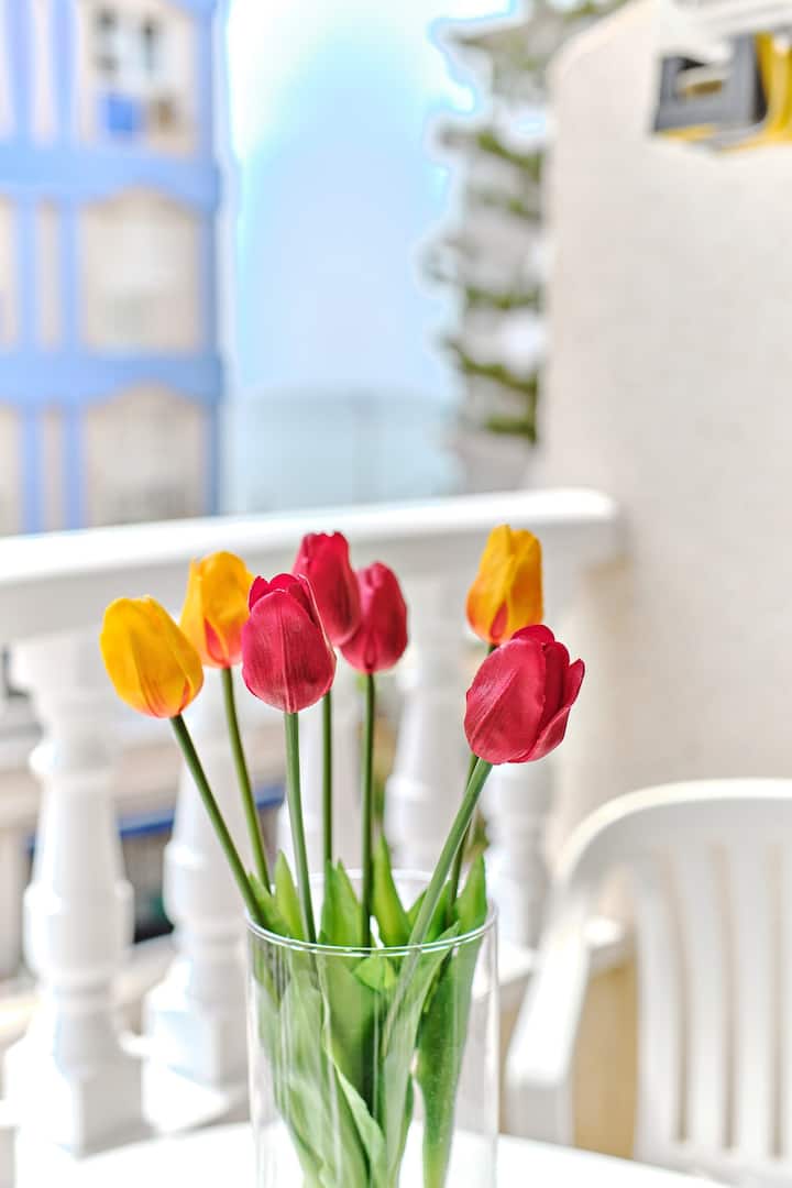 Palacio Del Mar - Torrevieja