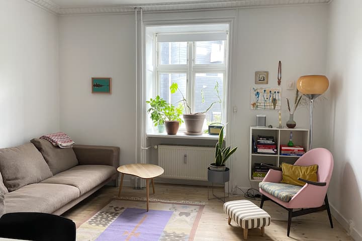 Classic Copenhagen Apartment - Copenhagen