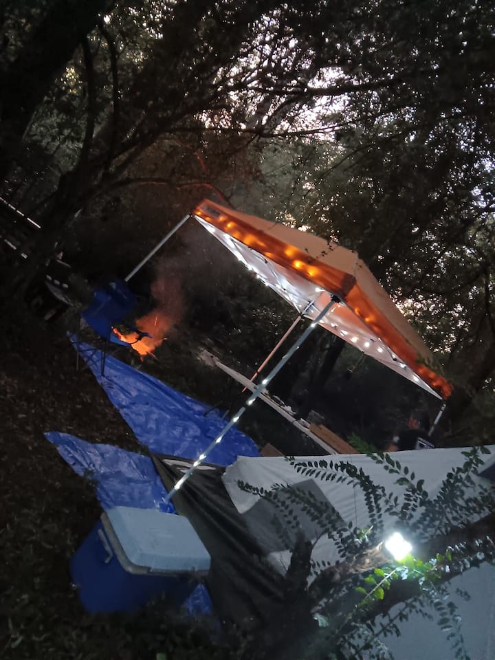 Magnolia River Campsite In Foley Alabama - Fairhope, AL