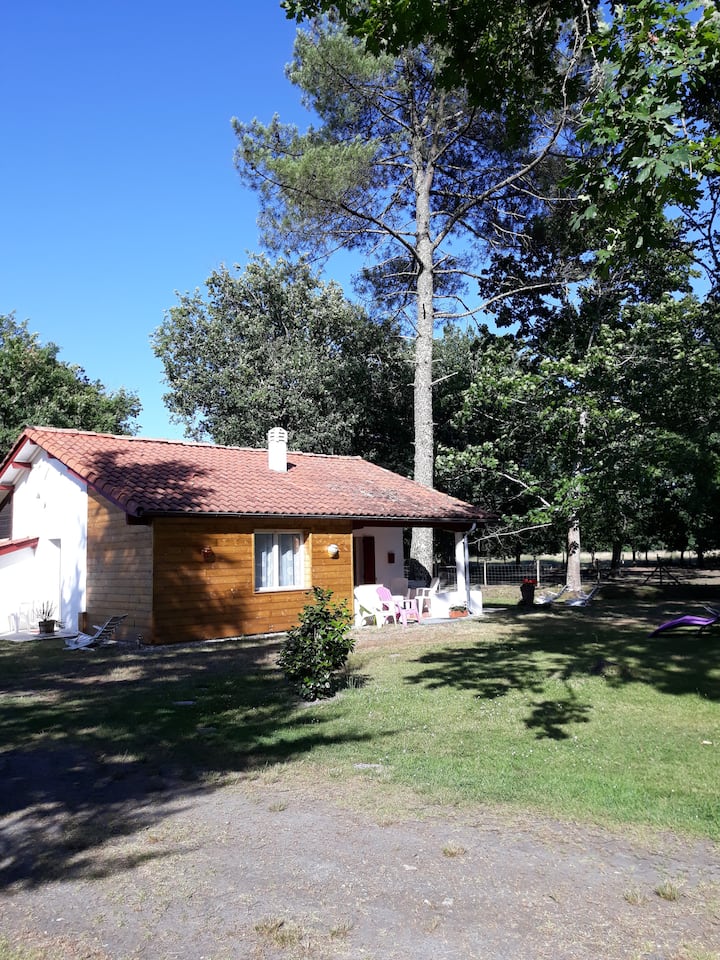 Maison Entre Océan Et Campagne - Labouheyre