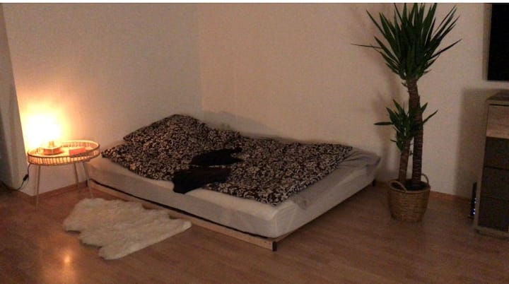 Wohnung Frankfurt / Bockenheim - Frankfurt