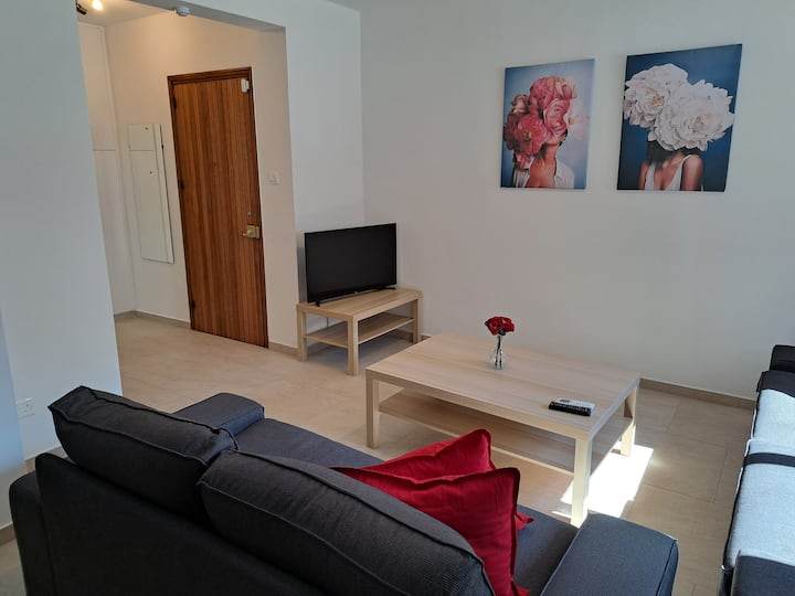 Ground Floor City Center Apartment - 니코시아