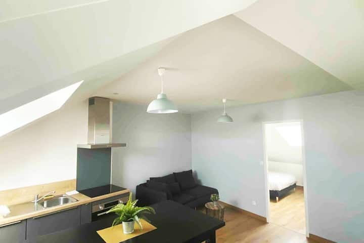 Superbe Appartement En Coeur De Ville - Orléans