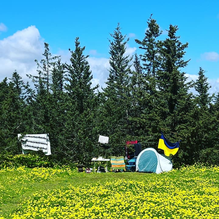 Spot 2- Bring Your Own Tent Or Caravan - Fuseta