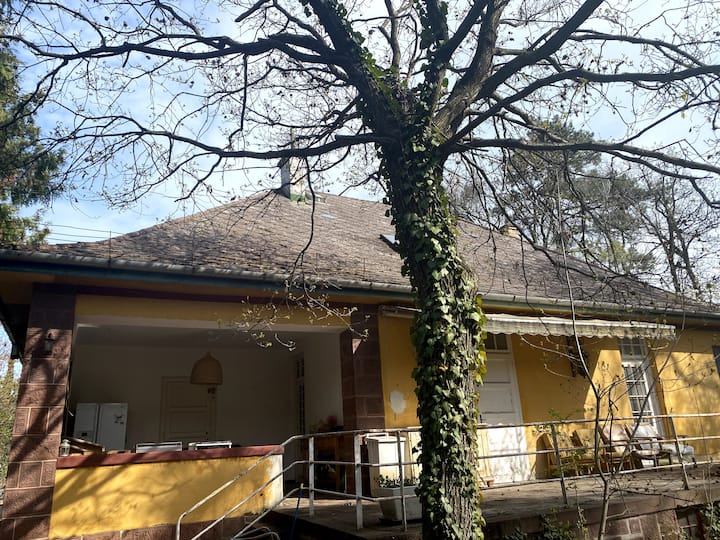 Villa In Balatonalmádi - Balatonkenese
