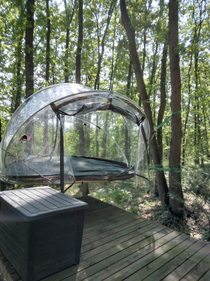 Tente Bulle Suspendue En Forêt - Gennes