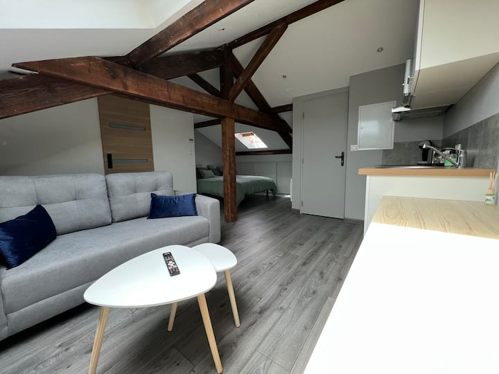 Studio Entièrement Rénové - Reims