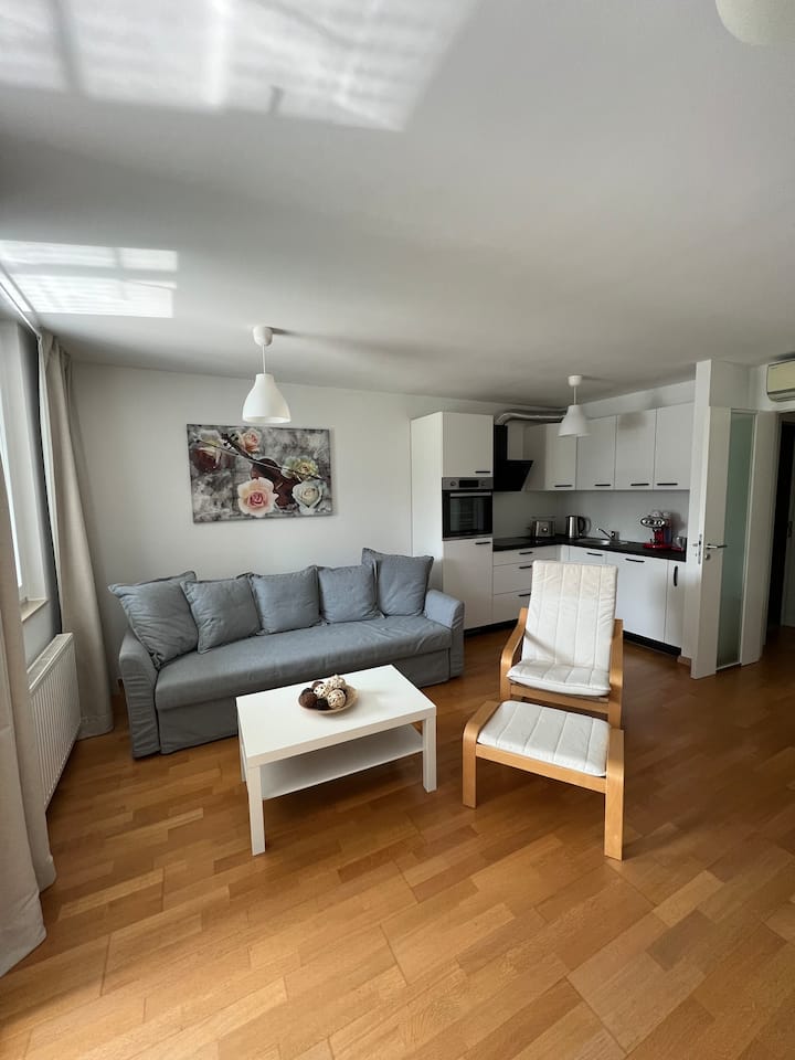 Apartment Njegošev Kvart - Liubliana