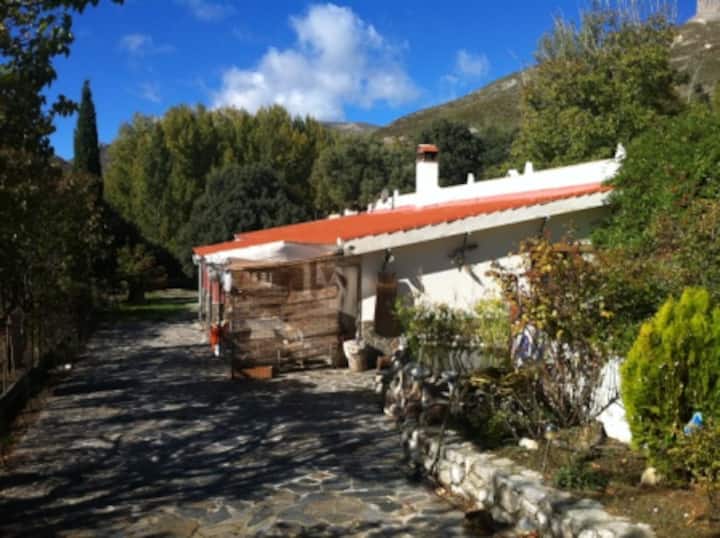 Vivienda Rural En Prado Negro - Diezma