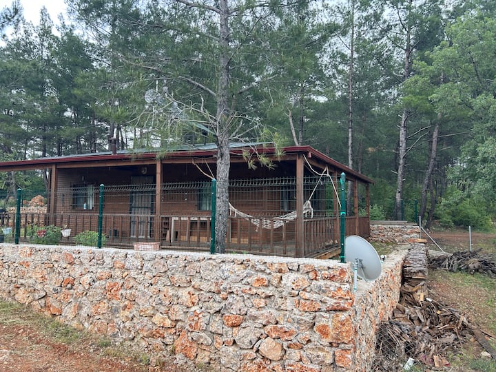 Ormanda Ahşap Ev - 6 Kişi - Mugla