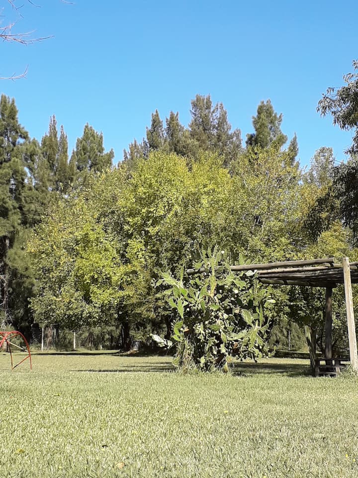 Quinta Las Casuarinas - Bethlehem