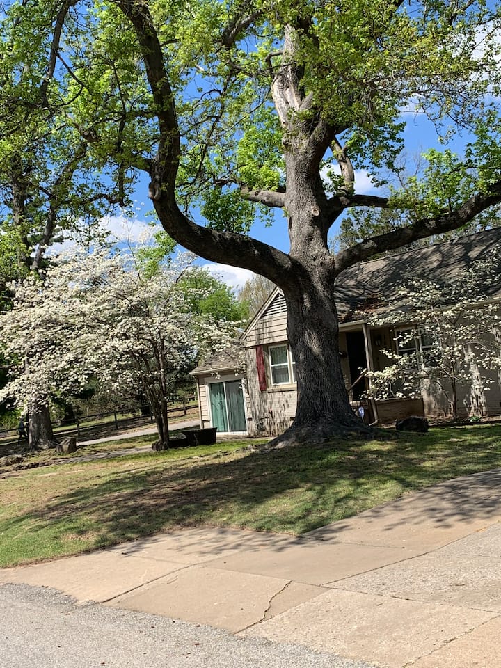 Park Place Brookside - Tulsa, OK