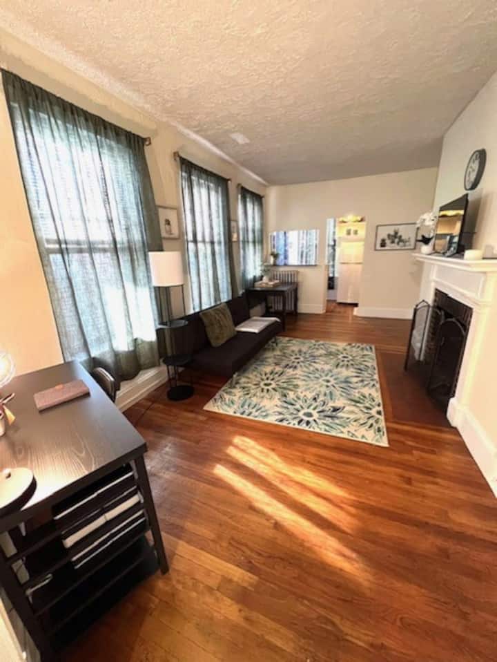 Best 1 Bed 1 Living R With Extra Sofa Bed Boston - Boston, MA