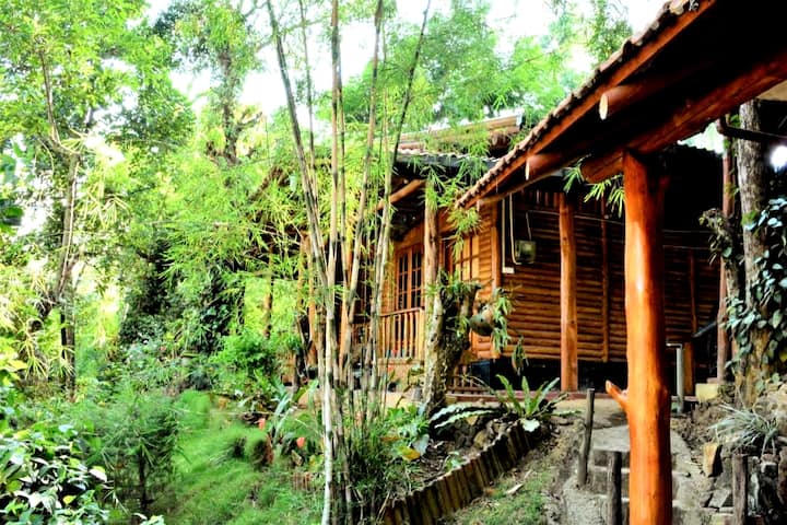 Little Folly Hidden Wood Cabins - Sri Lanka