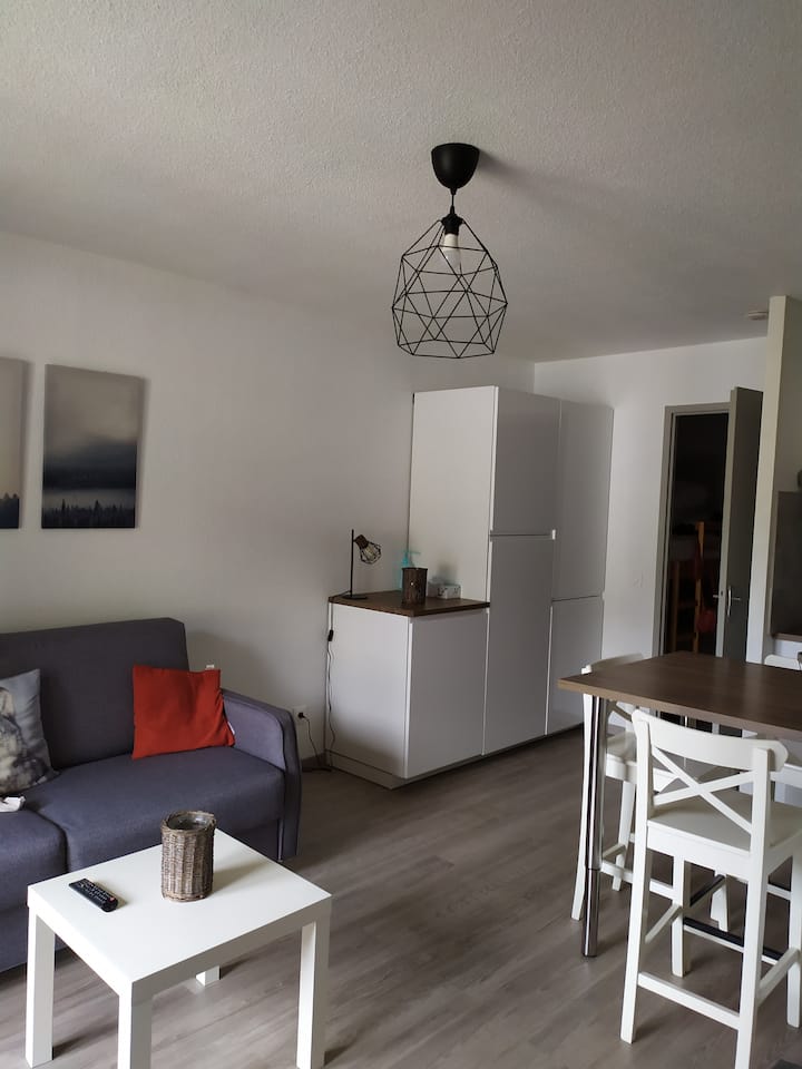 Studio Cosy Villard De Lans - Villard-de-Lans