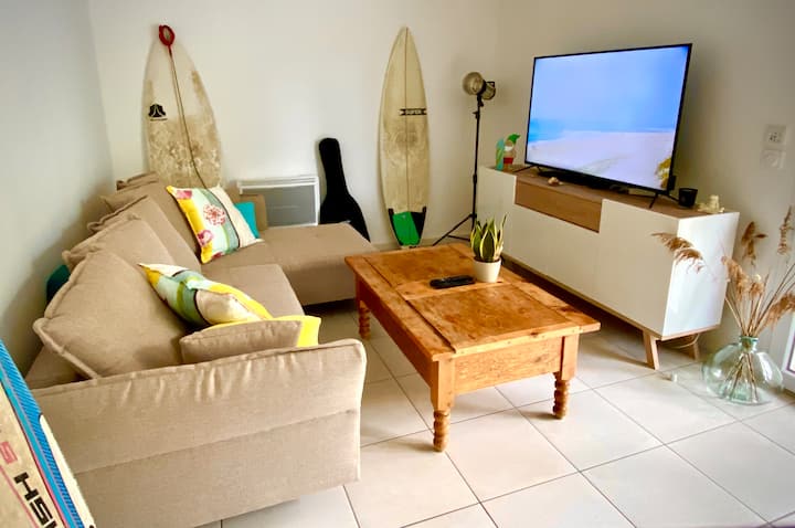 Face Aux Pins à Côté De La Mer - Capbreton