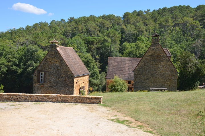Gîte  Le Buis à Sarlat Avec Belle  Piscine Au Sel - Sarlat-la-Canéda
