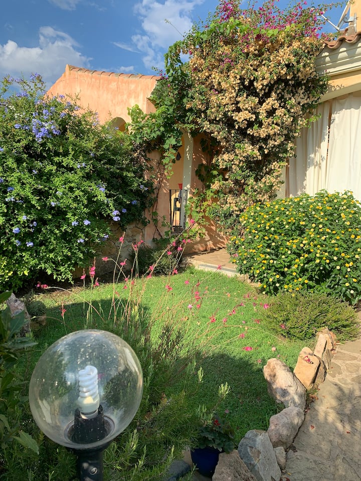 Sardegna. Colori,profumi,vibrazioni - Budoni