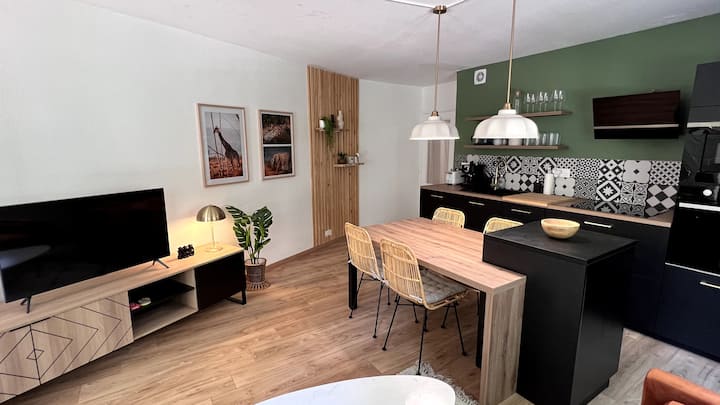 Le Cocon Du Lez. Clim, Terrasse & Netflix. - Montpellier