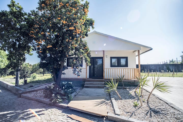Casa Das Laranjeiras - Guimarães