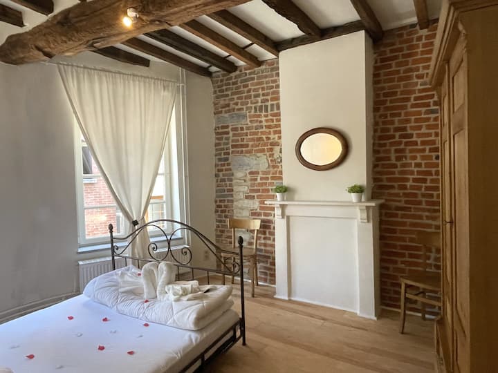Maison Historique Nivelles Centr - Manage