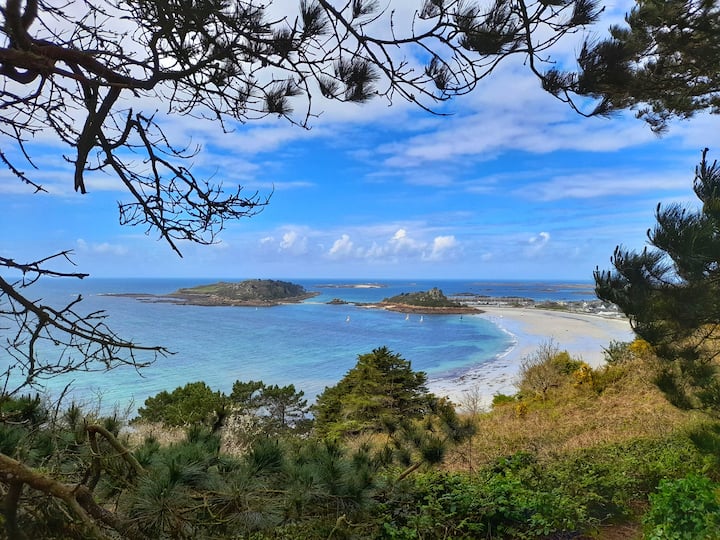 ~Le Petit Macareux~ 
 T2 à 300m De La Plage - Pleumeur-Bodou
